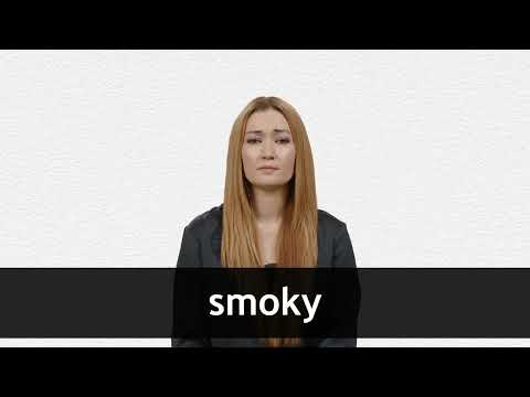 SMOKY - Definition & Translations | Collins English Dictionary