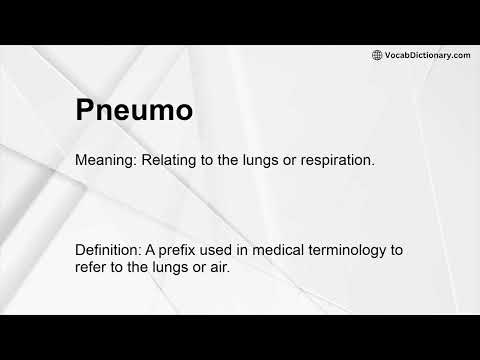 Pneumo Meaning
