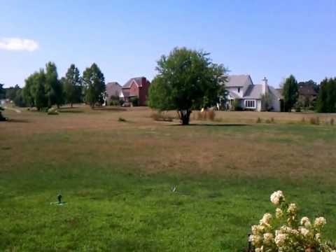 Strange Humanoid Creature Caught on Tape