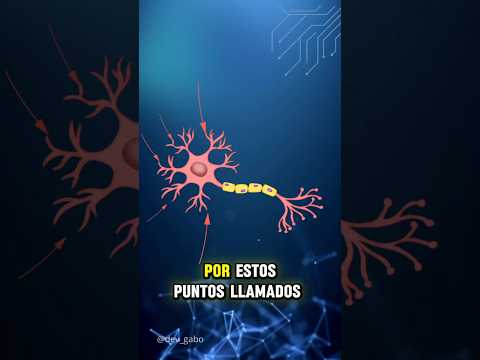 ¿Te parece bien que la #IA gane el premio #nobel? #programacion #inteligenciaartificial #fisica