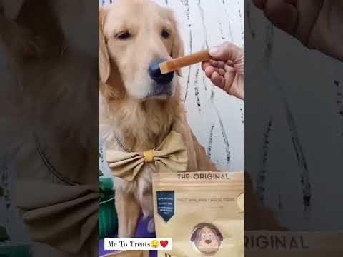 Dogsee Dog Treats | 100% Natural & Healthy Treats
