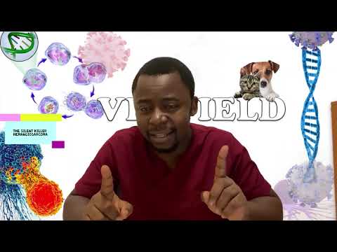 the most dangerous tumor in dogs(hemangiosarcoma a.k.a the Silent killer)