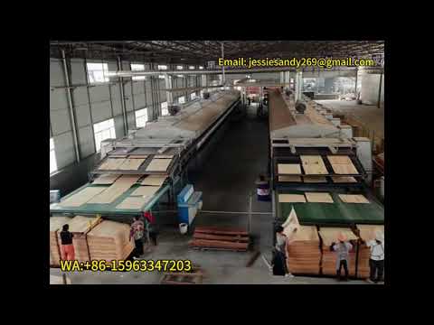 roller type continuous dryer machine WA:+86-15963347203