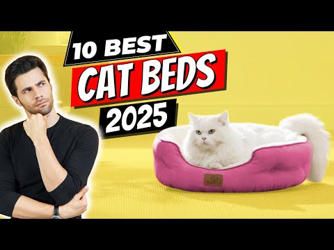 10 Best Cat Beds of 2025: Keep Your Cat Cozy!