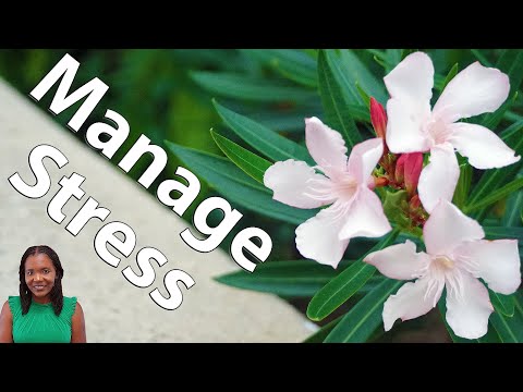 5 Stress Management Tools For Your Toolbox