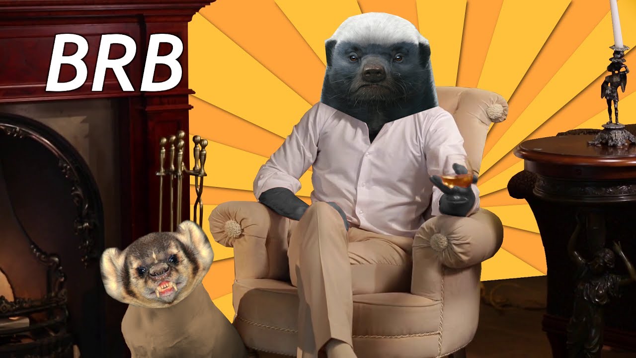 [PL / ENG] This is the police (part 2) 15/08/2018