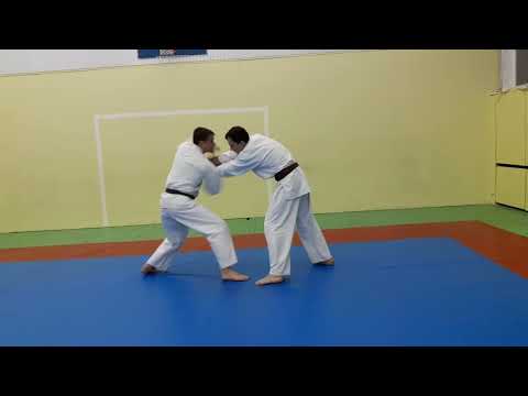 [Exercise for Atemi Nage punch practice/ Motoha Yoshin Ryu Jujutsu]