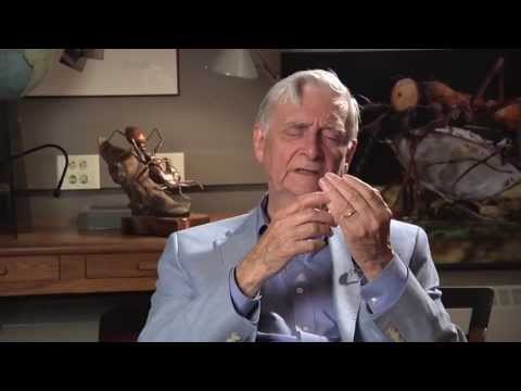 E.O. Wilson: Why support the Harbor Islands?