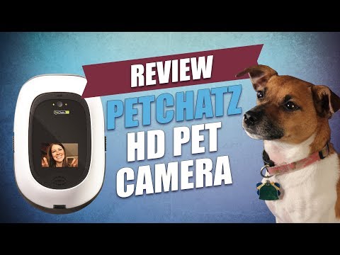 PetChatz HD Pet Camera Review