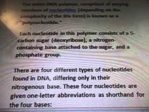 Line 26a19 Pt 14 Alien Messages ARECIBO CHILTON Binary Code Pictographs ...