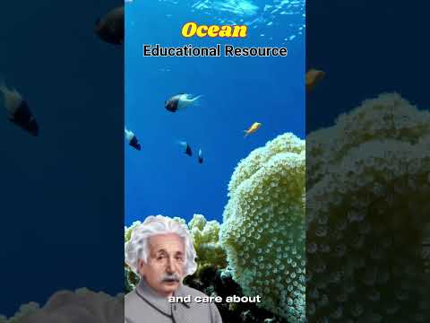 What if the Ocean Disappeared? (Part 16 of 50)