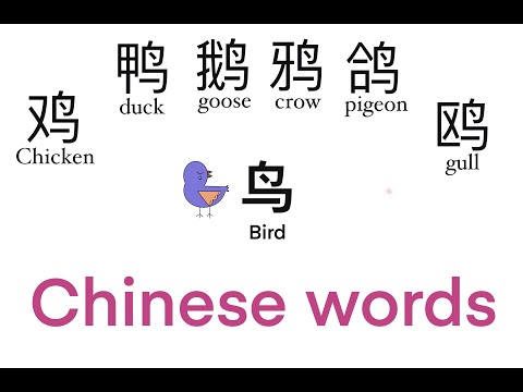 [Learn Chinese] 鸟bird  Episode 1: chicken, duck, goose, pigeon, crow, gull.