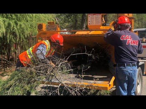 Placer County has big plans for fire prevention after receiving CAL FIRE grant money