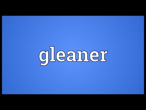 Gleaner Meaning