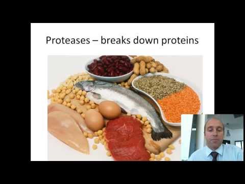 Protease Scenario