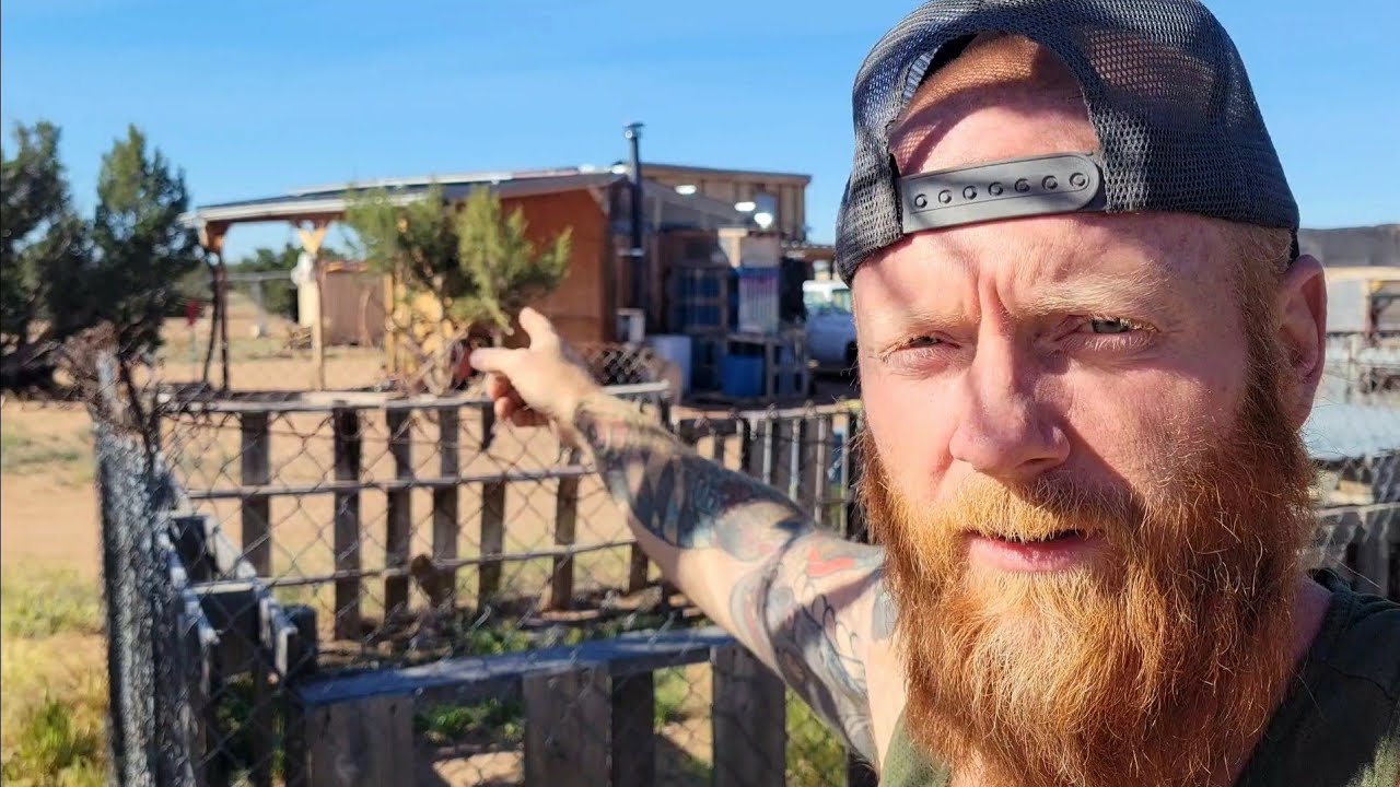 Why My Homestead Worked When So Many Don’t 