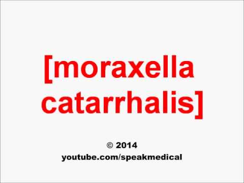 Pronounce Moraxella catarrhalis | SpeakMedical
