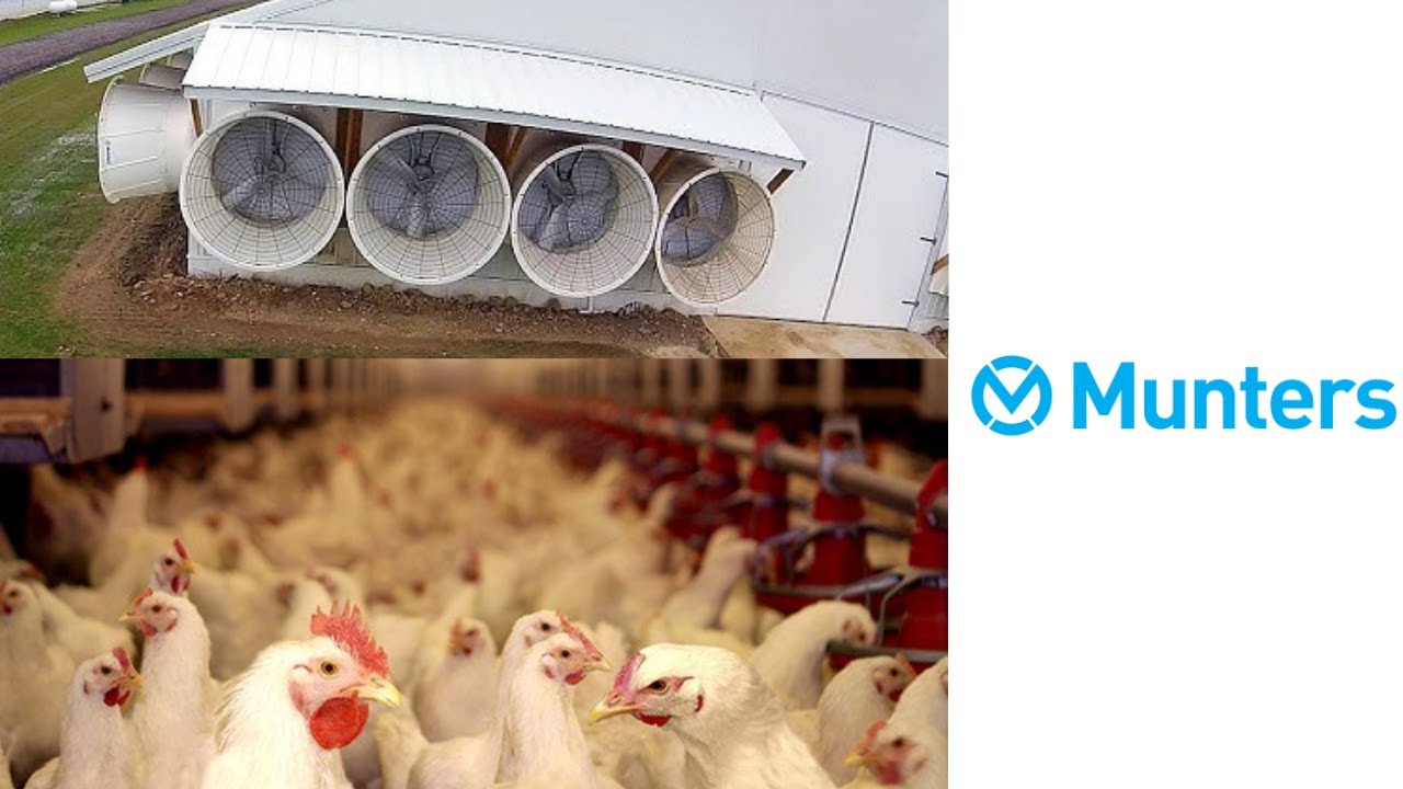 Control your Broiler Facility's Climate System Efficiently with Munters