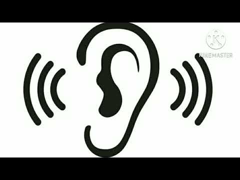 We do not care meme - sound effect (No copyright)