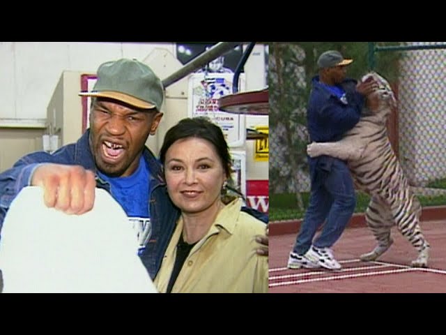 Mike Tyson wrestling tiger: Watch the legendary boxer playfully fight ...