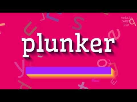 PLUNKER - HOW TO SAY PLUNKER? #plunker