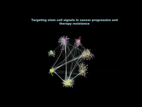 Targeting Stem Cell Signals in Cancer Progression and Therapy Resistance - Tannishtha Reya