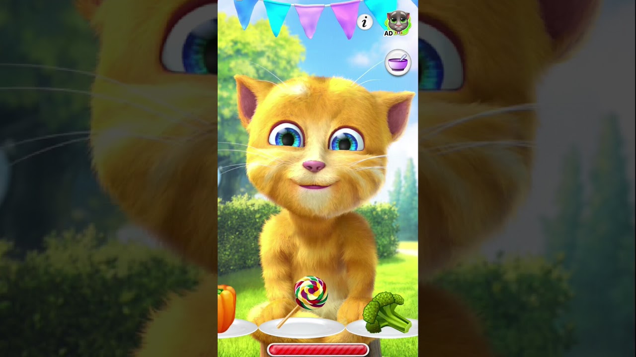 My Talking Ginger Apk For Google Play Store