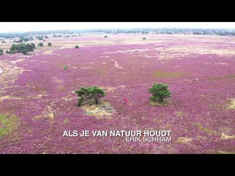 TOP Natuur Fietsroute De Strabrechtse Heide | 24 km | VisitBrabant ...