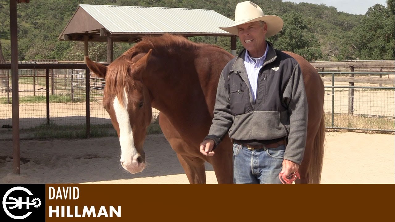 Being Prepared to Catch Your Horse with David Hillman – Eclectic Horseman