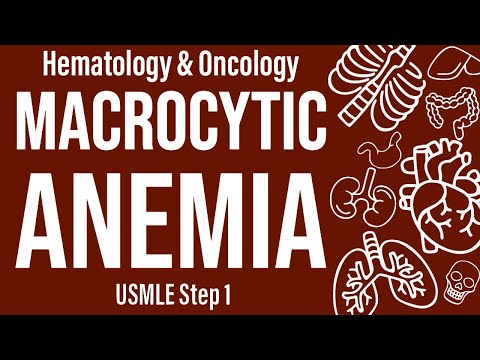 Introduction to Macrocytic Anemia (Heme/Onc) - USMLE Step 1