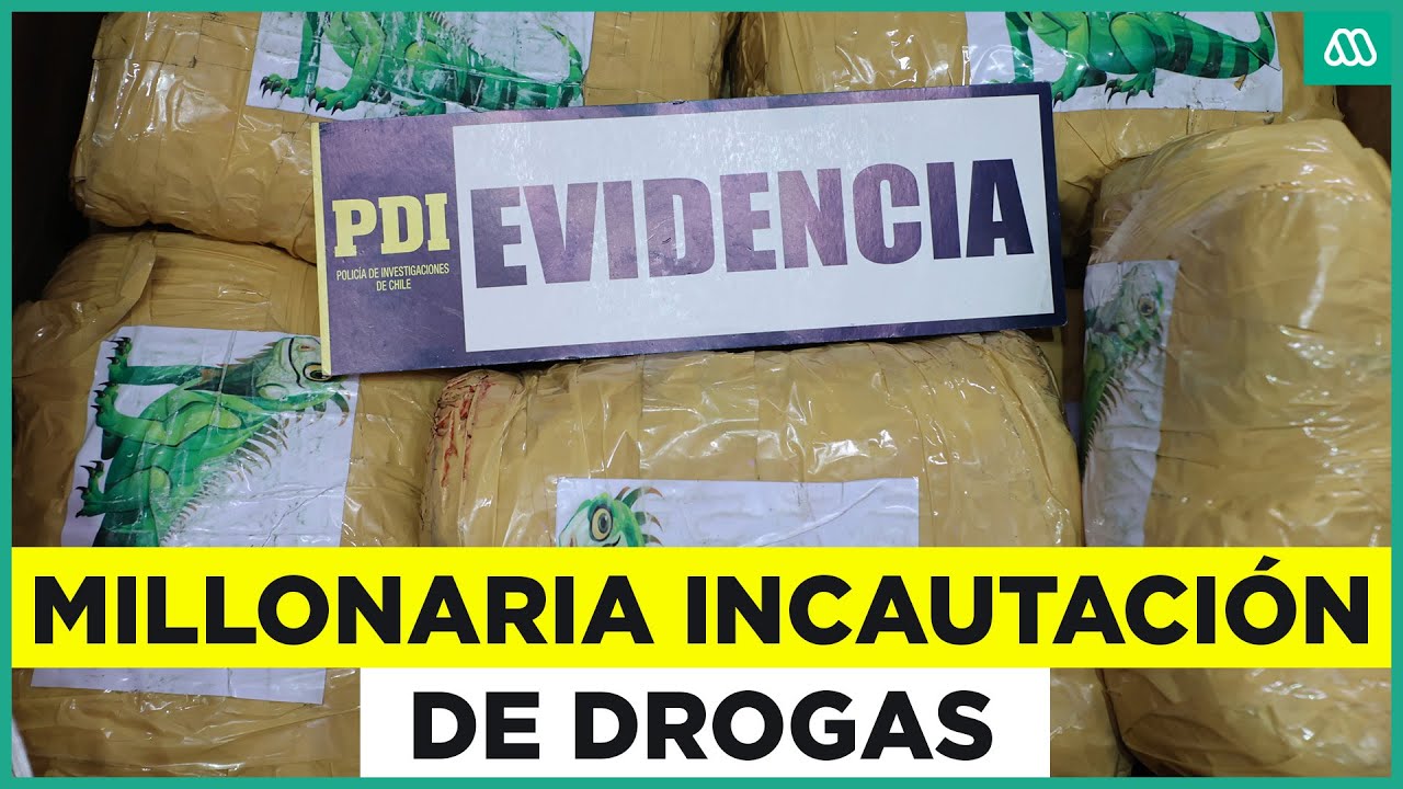 Confirman incautación de drogas avaluadas en $500 millones: Ingresaban sustancias en muebles