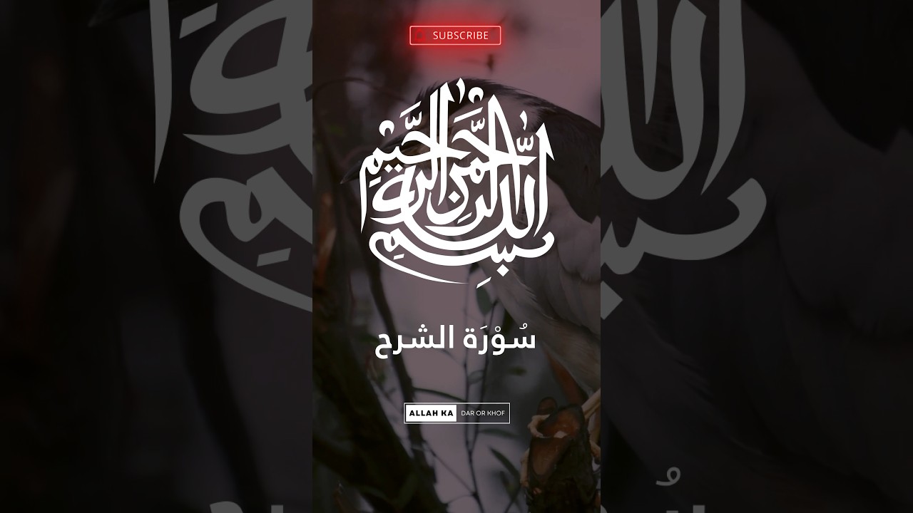 Surah Ash Sharh Alam Nashrah س و ر ۃ الشرح Tilawat e