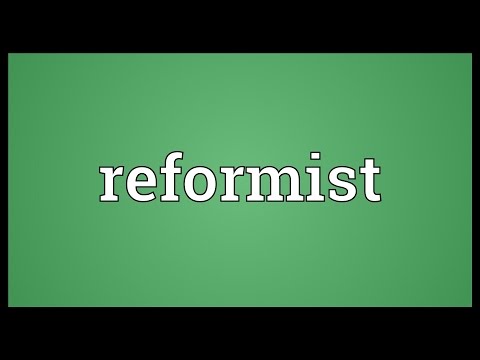 Reformist Meaning