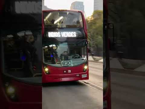 MetroBus CDMX on Calle Reforma | Metro and Transit in Mexico City