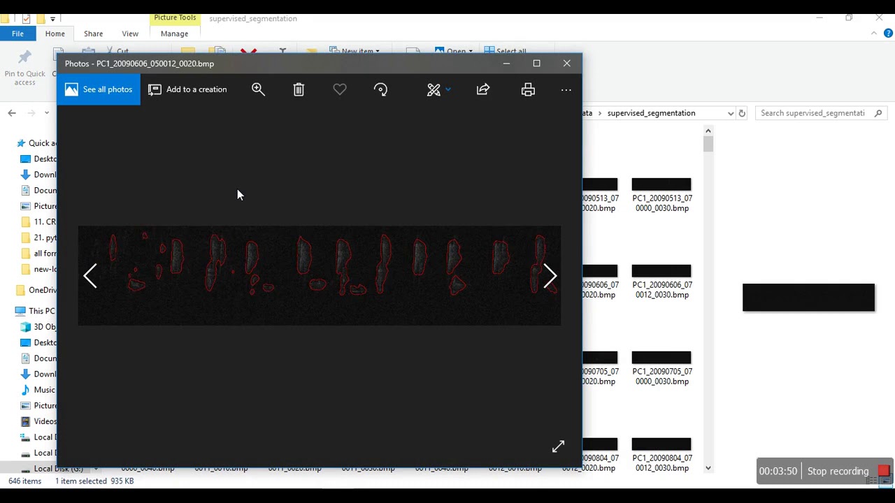 Birds Classification in Python - OKOK PROJECTS- Final Year Projects ...
