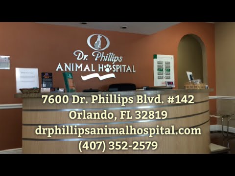 Dr Phillips Animal Hospital - REVIEWS - Orlando Veterinarians