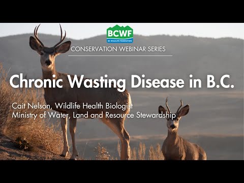 Chronic Wasting Disease - What to know for the upcoming hunting season