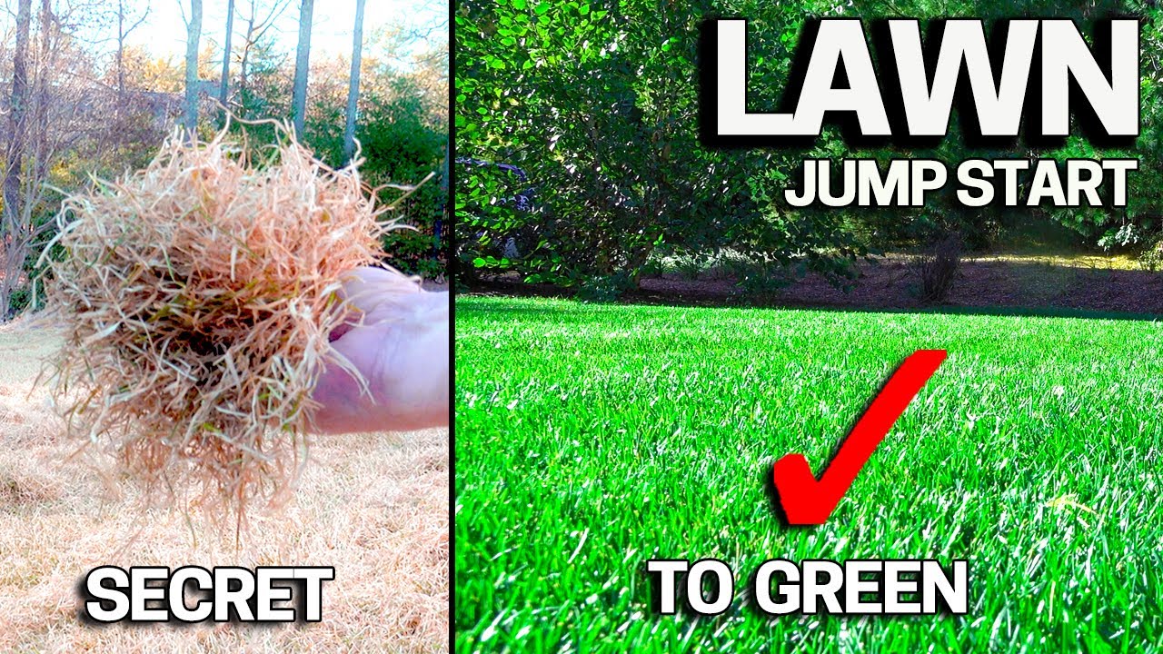 Easy Fix for your Lawn in Spring - Dethatching