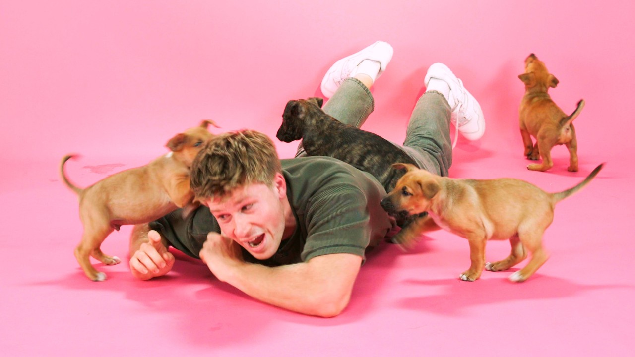 Robert Irwin: The Puppy Interview