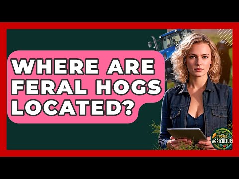 Where Are Feral Hogs Located? - The World of Agriculture