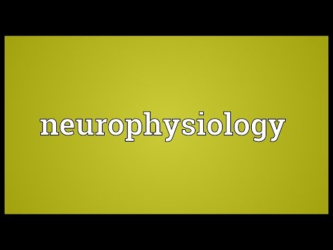 Neurophysiology Meaning