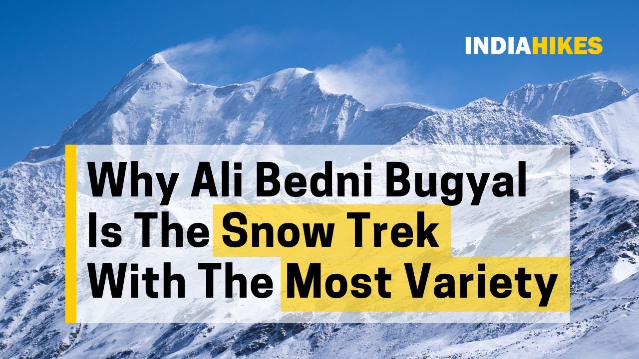 Ali Bedni Bugyal Trek 2021 | Complete Trek Guide, Itinerary, Dates