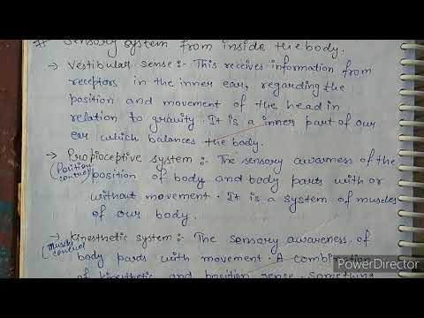 multisensory approach (part 2) in hindi vestibular, proprioceptive, kinesthetic senses.
