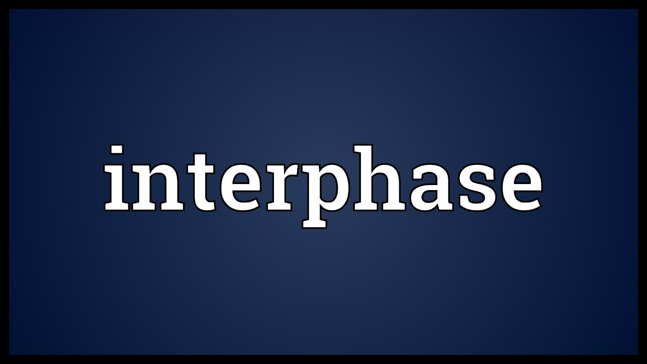 Interphase Meaning