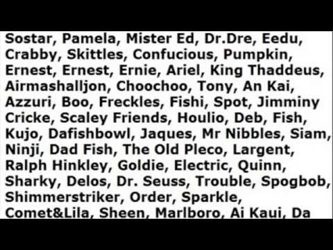funny girl nicknames