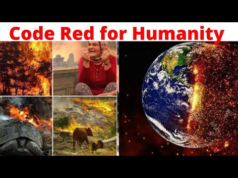 Global red alert Tamil | Eco india | flood | forest fire | drought #coderedforhumanity
