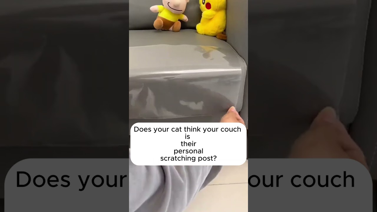 Feline Shield! 🐾 Scratch-Proof Sofa Covers