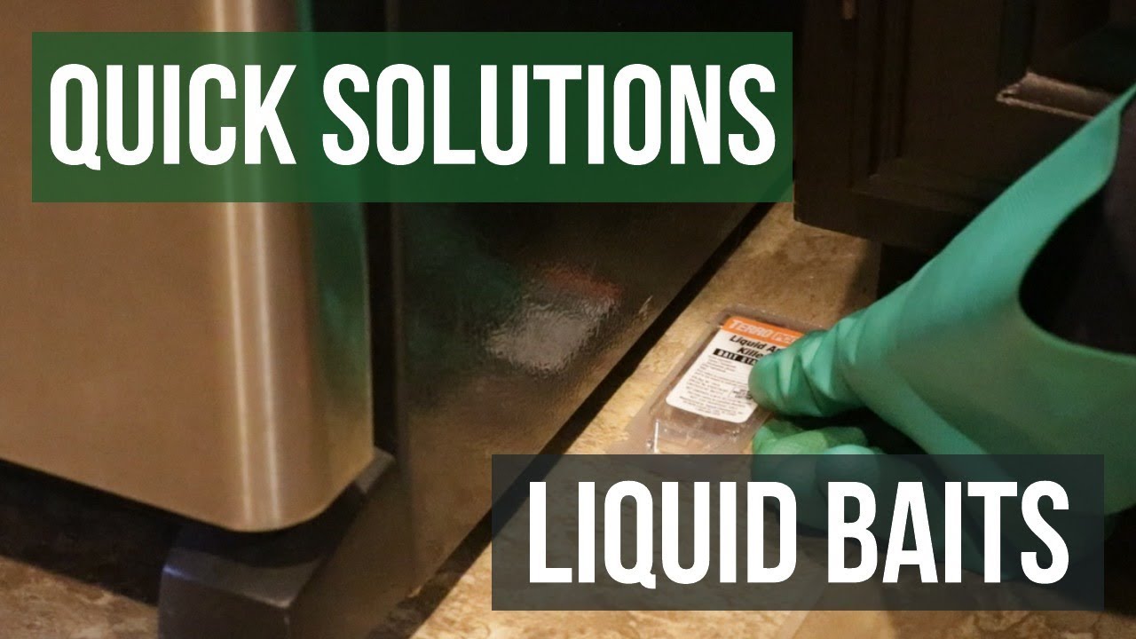Quick Solutions: How to Use Liquid Bait Insecticides