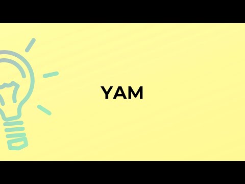 What is the meaning of the word YAM?