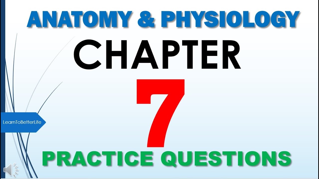 Anatomy & Physiology: Chapter 7 Practice Questions